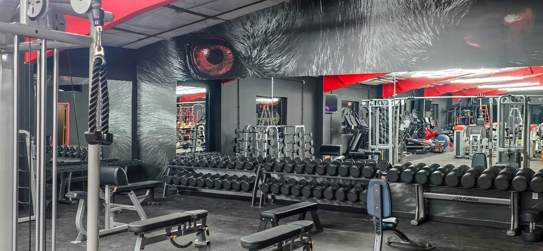 Apex Fitness Clubs